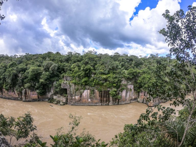 Parque Nacional Natural Tinigua - Parques Nacionales Naturales de Colombia