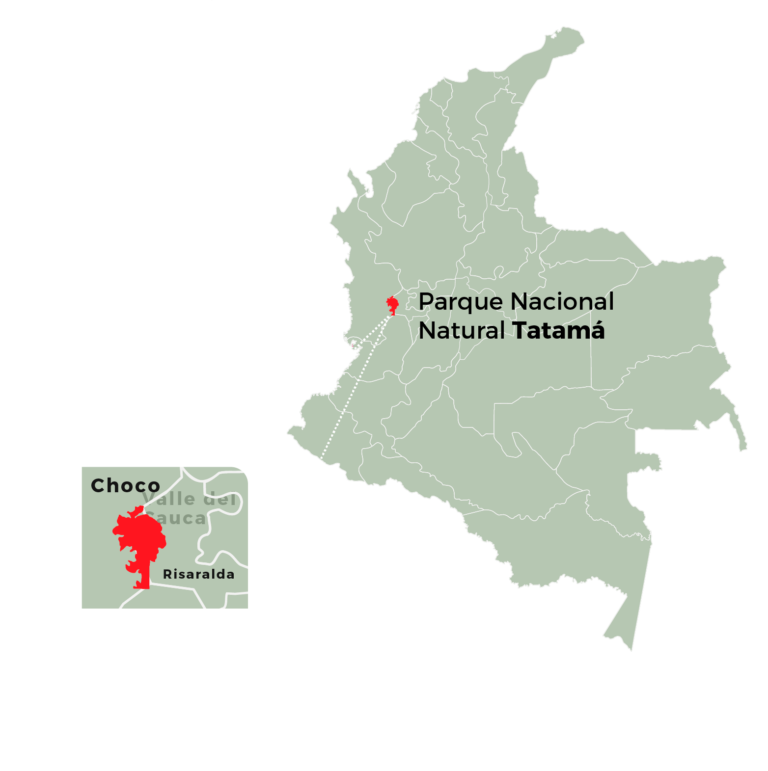 Parque Nacional Natural Tatamá - Parques Nacionales Naturales de Colombia