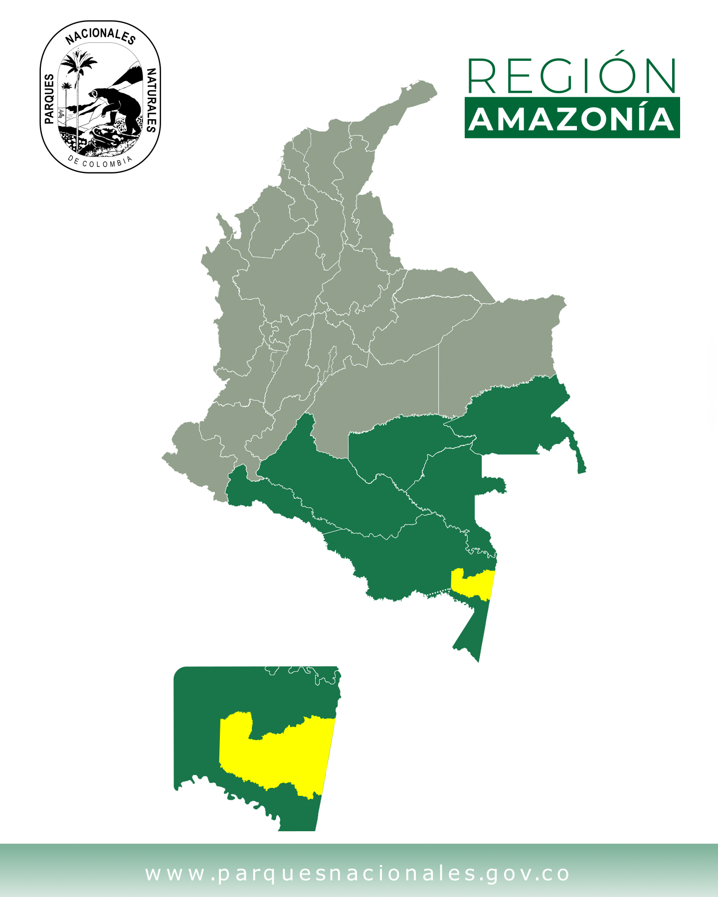 Parque Nacional Natural Río Puré - Parques Nacionales Naturales de Colombia