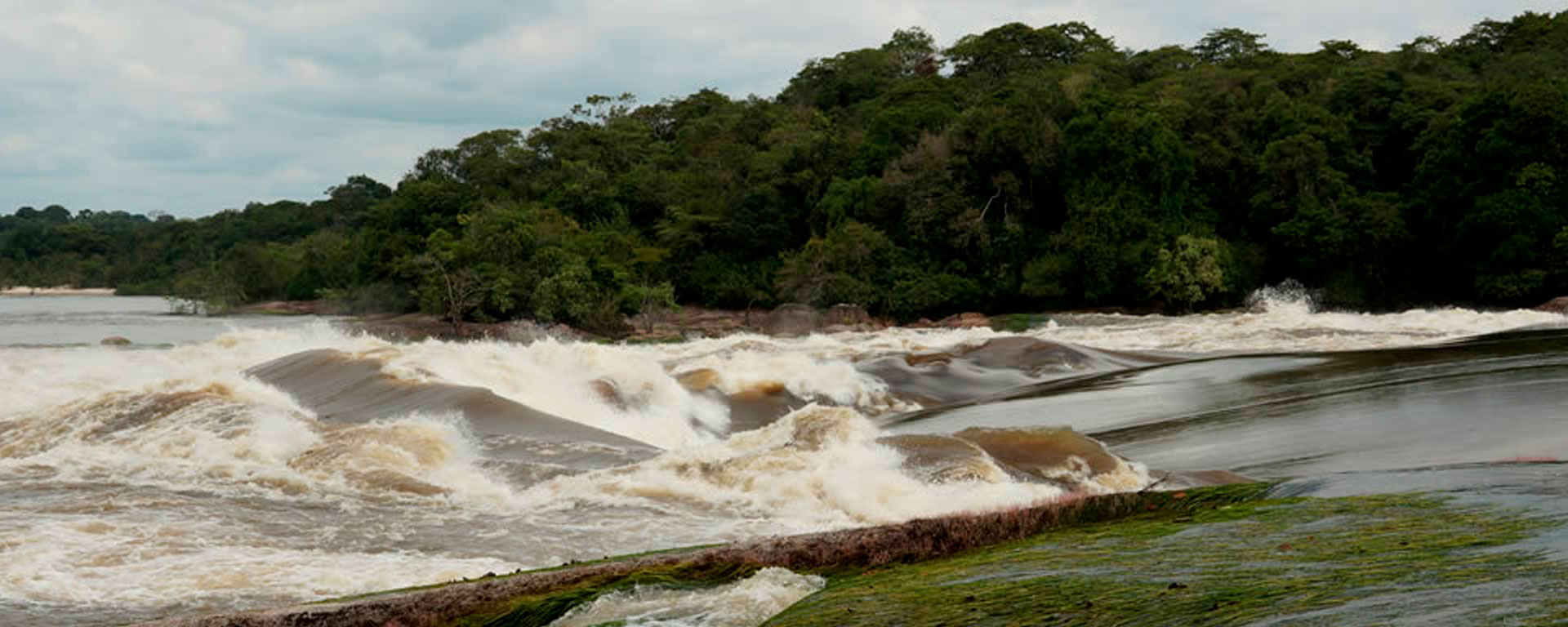 Parque Nacional Natural La Paya - Parques Nacionales Naturales de Colombia