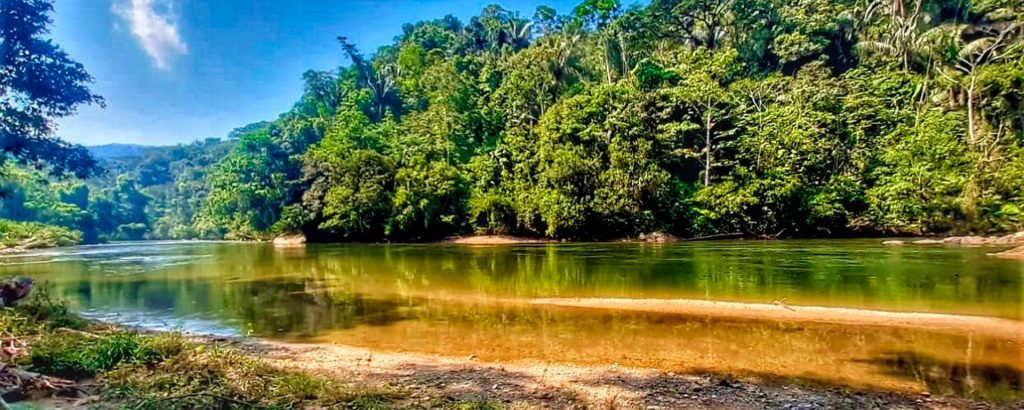 Parque Nacional Natural Catatumbo Barí - Parques Nacionales Naturales ...