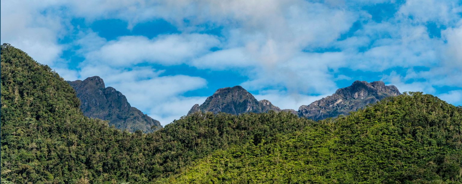 Parque Nacional Natural Farallones de Cali - Parques Nacionales ...