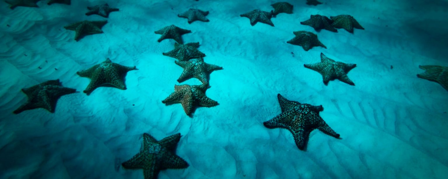 Parque Nacional Natural Old Providence McBean Lagoon - Parques ...