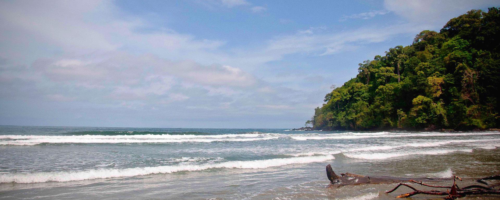 Santuario de Fauna Acandí, Playón y Playona - Parques Nacionales ...