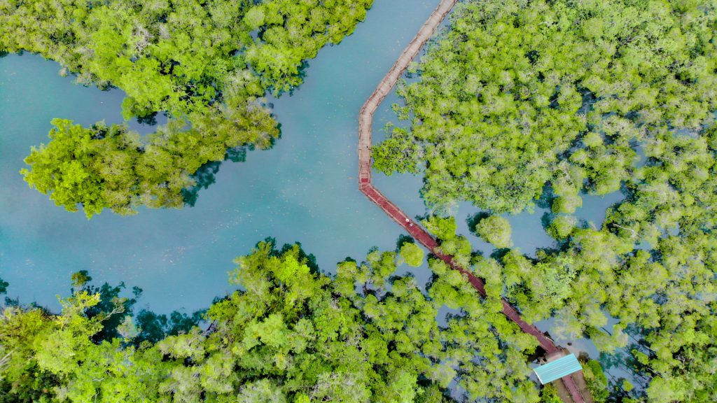 Parque Nacional Natural Utría - Parques Nacionales Naturales de Colombia