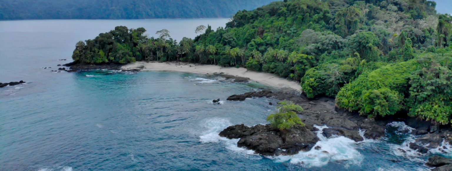 Utría, la bella: entre la selva, el mar y las ballenas - Parques ...