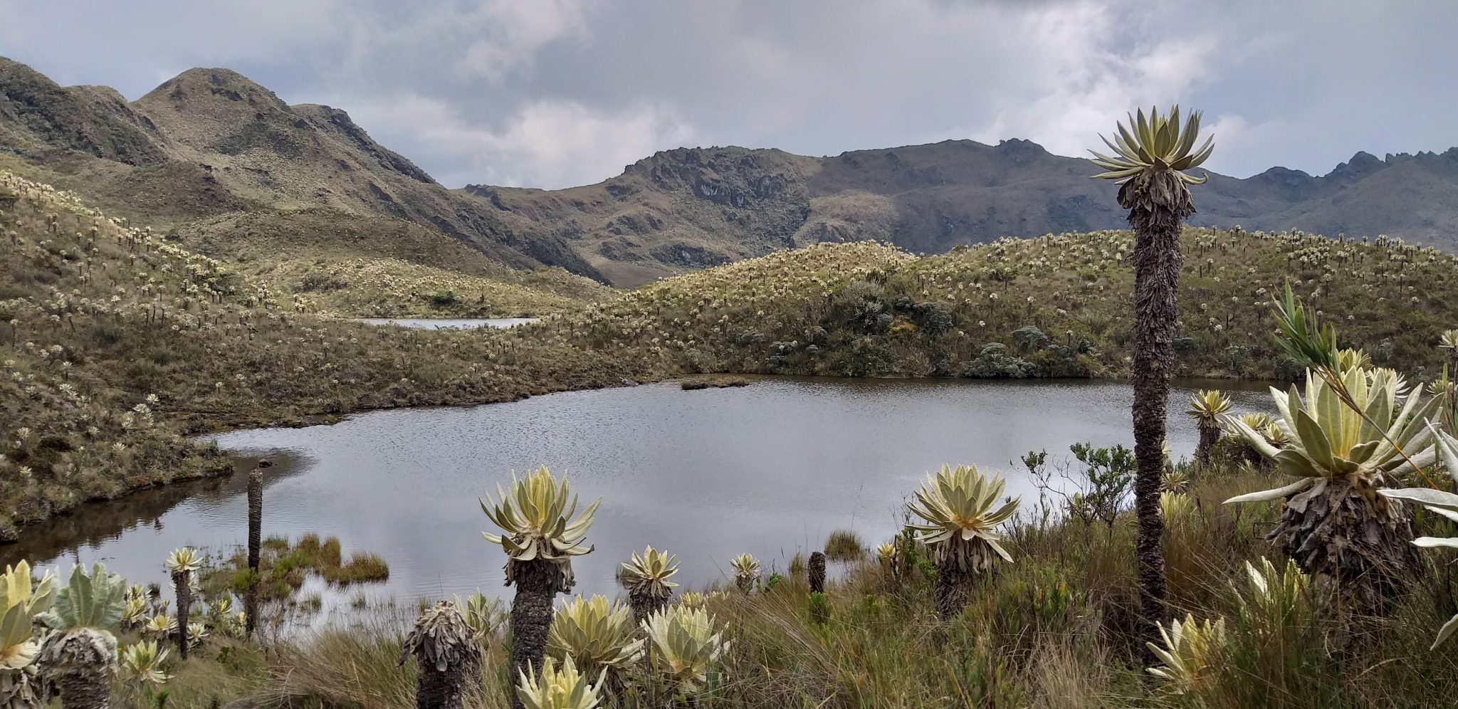 Parque Nacional Natural Las Hermosas Gloria Valencia de Castaño ...