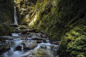 Parque Nacional Natural Tatamá - Parques Nacionales Naturales de Colombia