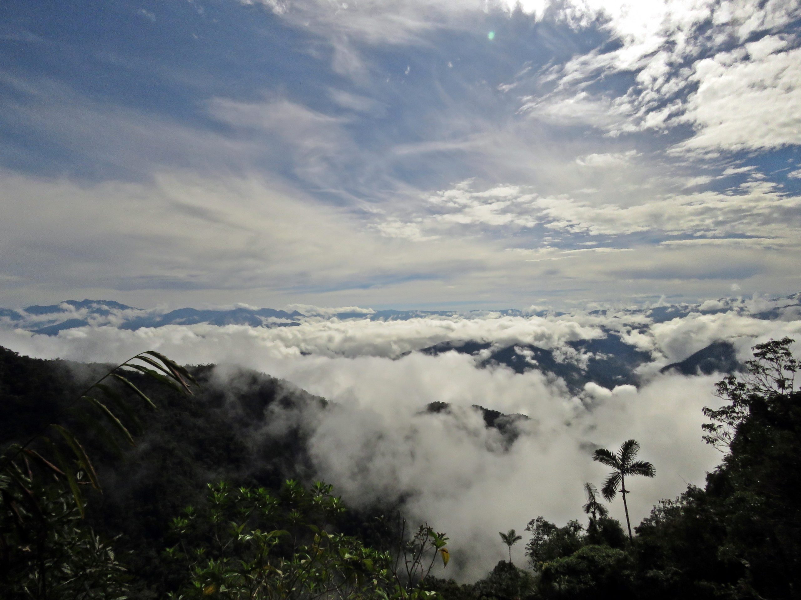 Parque Nacional Natural Tatamá - Parques Nacionales Naturales de Colombia
