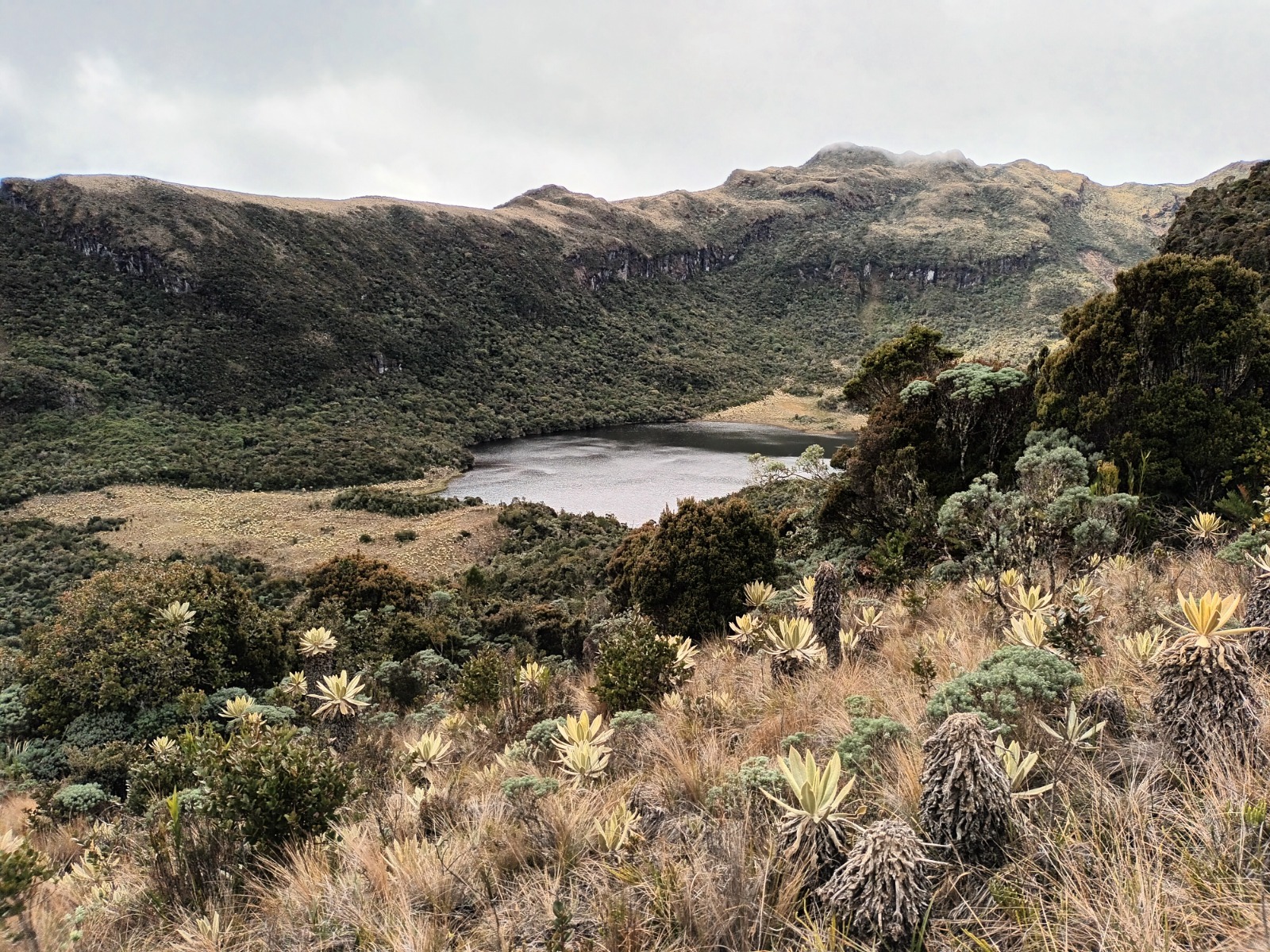 Santuario de Flora y Fauna Galeras - Parques Nacionales Naturales de ...
