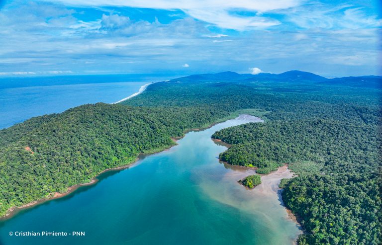 Utría, la bella: entre la selva, el mar y las ballenas - Parques ...