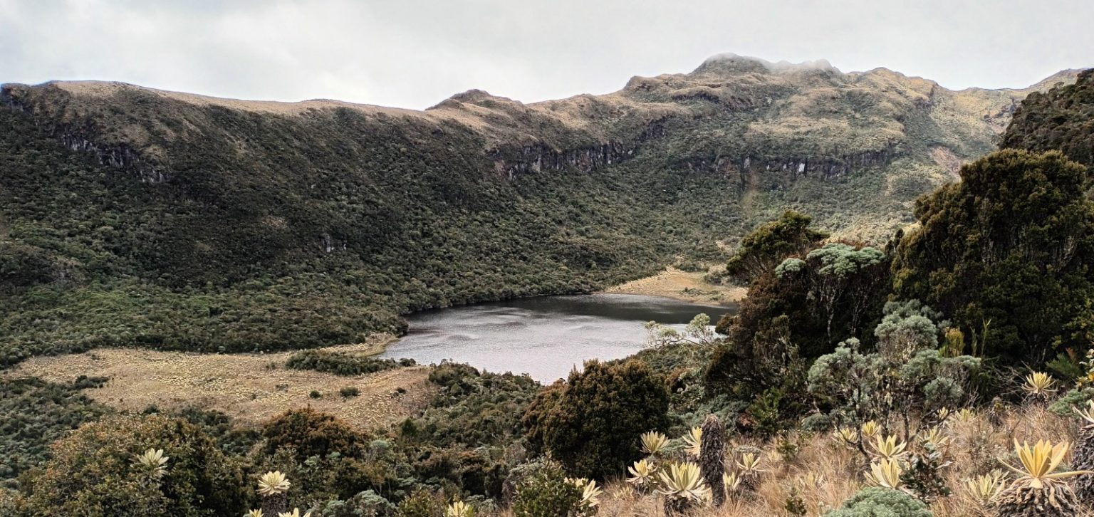 Santuario de Flora y Fauna Galeras - Parques Nacionales Naturales de ...