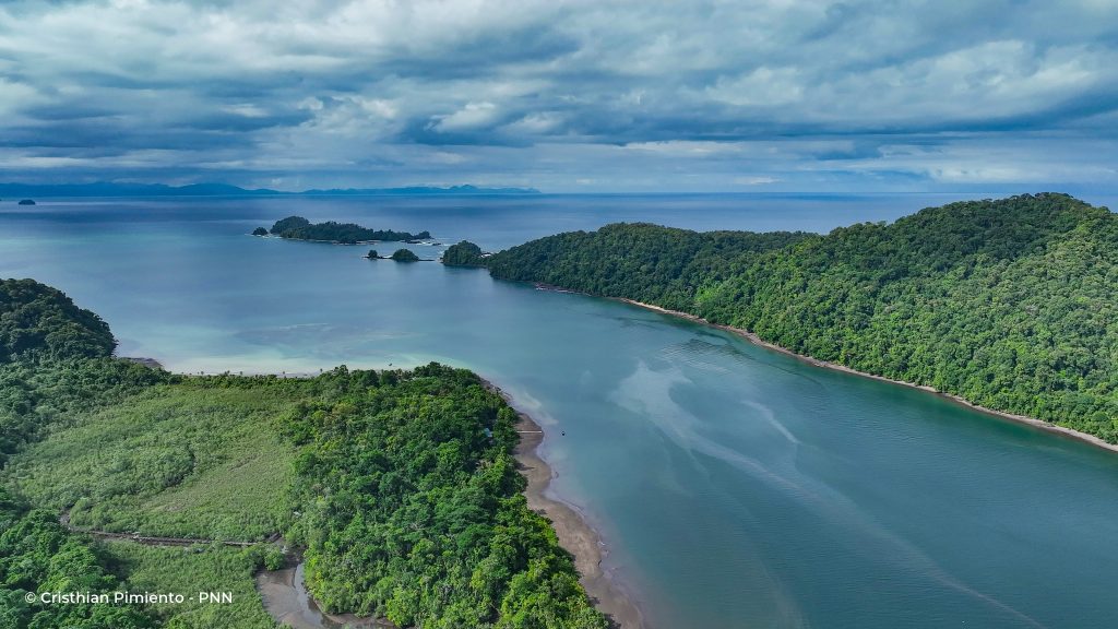 Utría, la bella: entre la selva, el mar y las ballenas - Parques ...