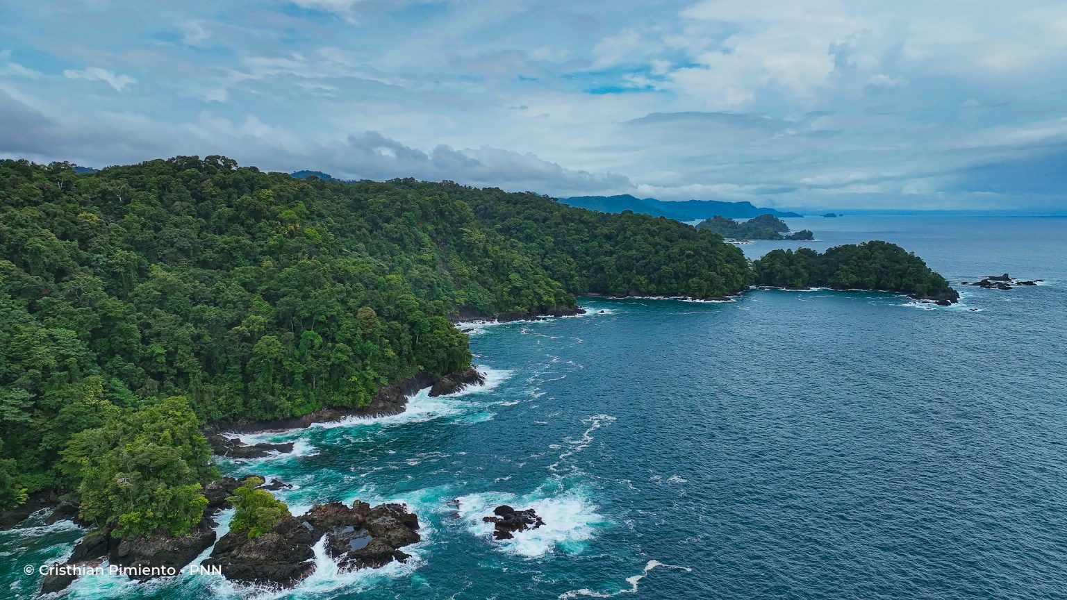 Utría, la bella: entre la selva, el mar y las ballenas - Parques ...