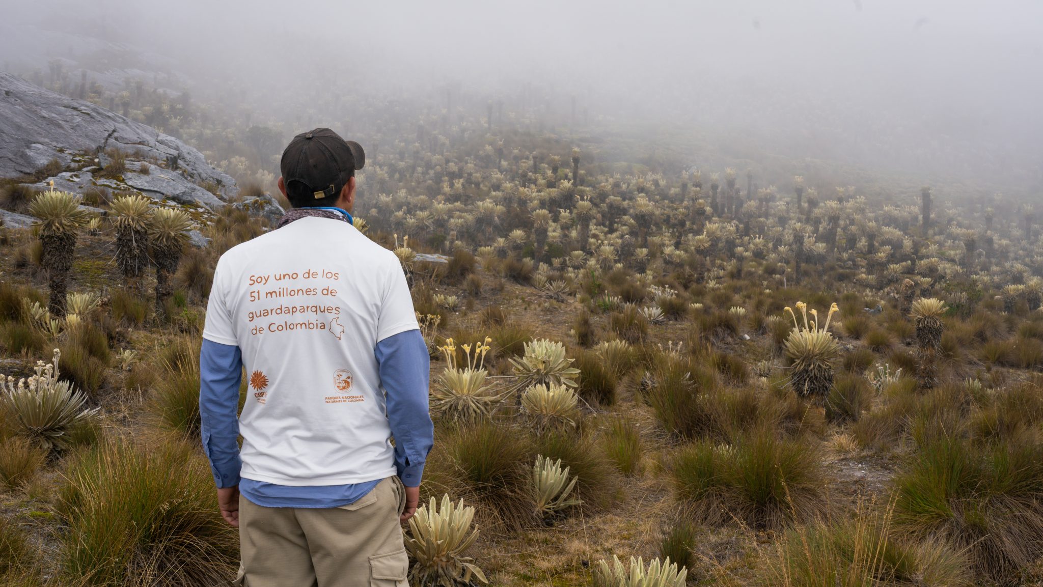 Parque Nacional Natural El Cocuy - Parques Nacionales Naturales de Colombia
